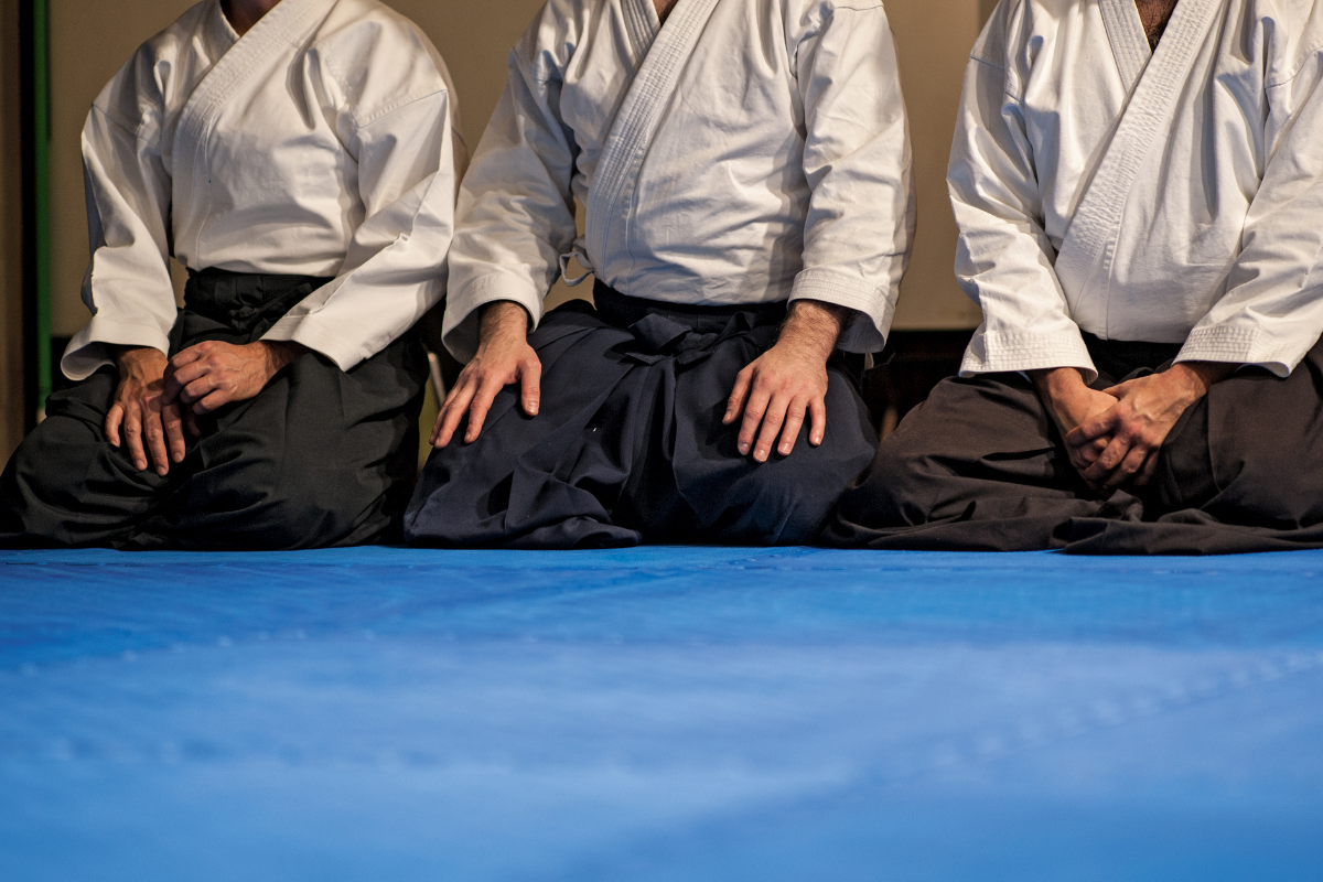 The Truth About Aikido: Does It Work In A Real Fight? - Spinningelbow.com